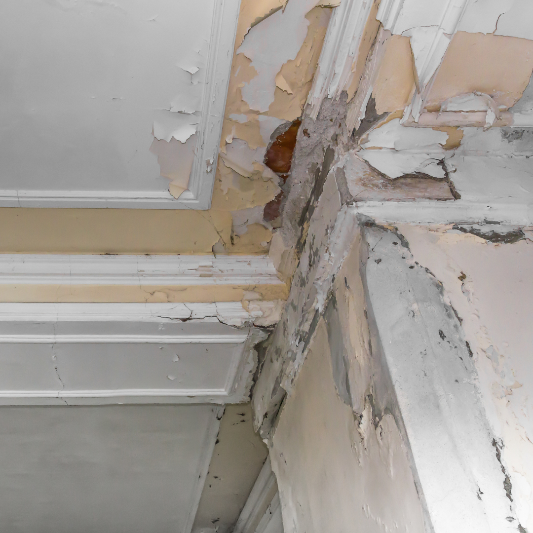 5 Common Reasons for Water Leakage in Buildings | Zindus